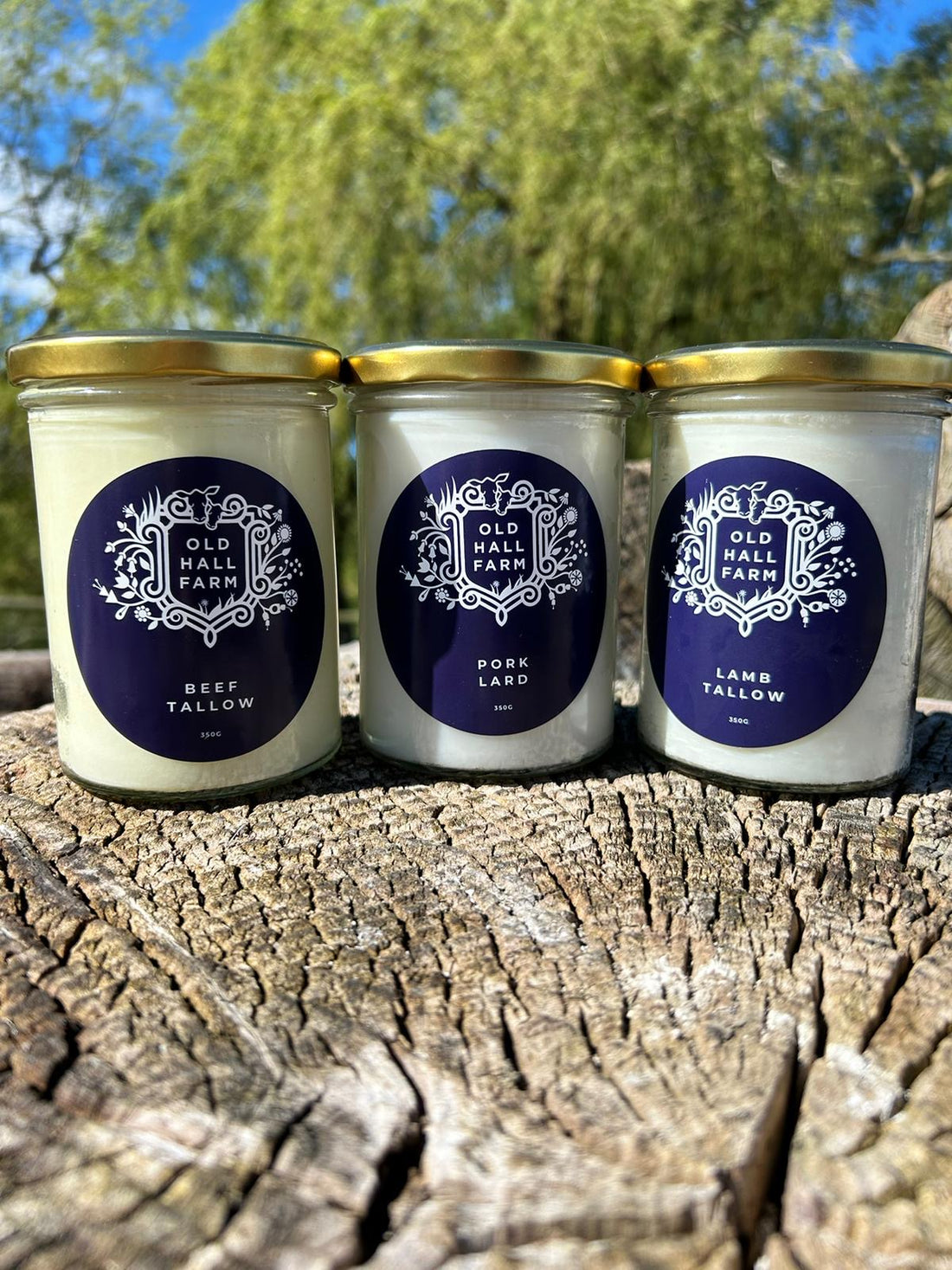 100% Pasture Fed Beef Tallow – Old Hall Farm